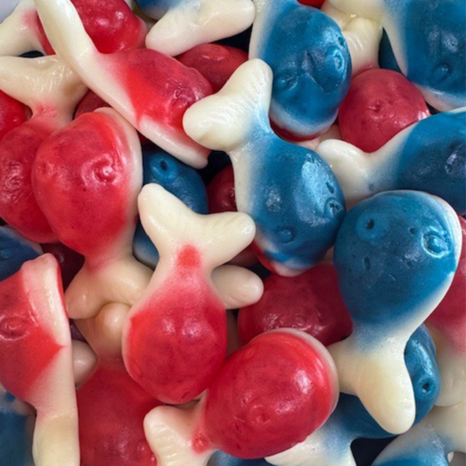Kingsway Filled Whales — The Sweet Store
