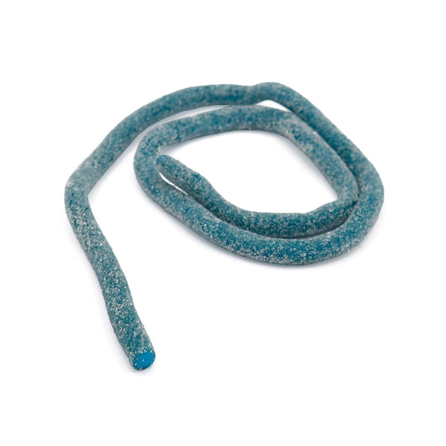 Vidal Giant Blue Tongue Painter Cable — The Sweet Store