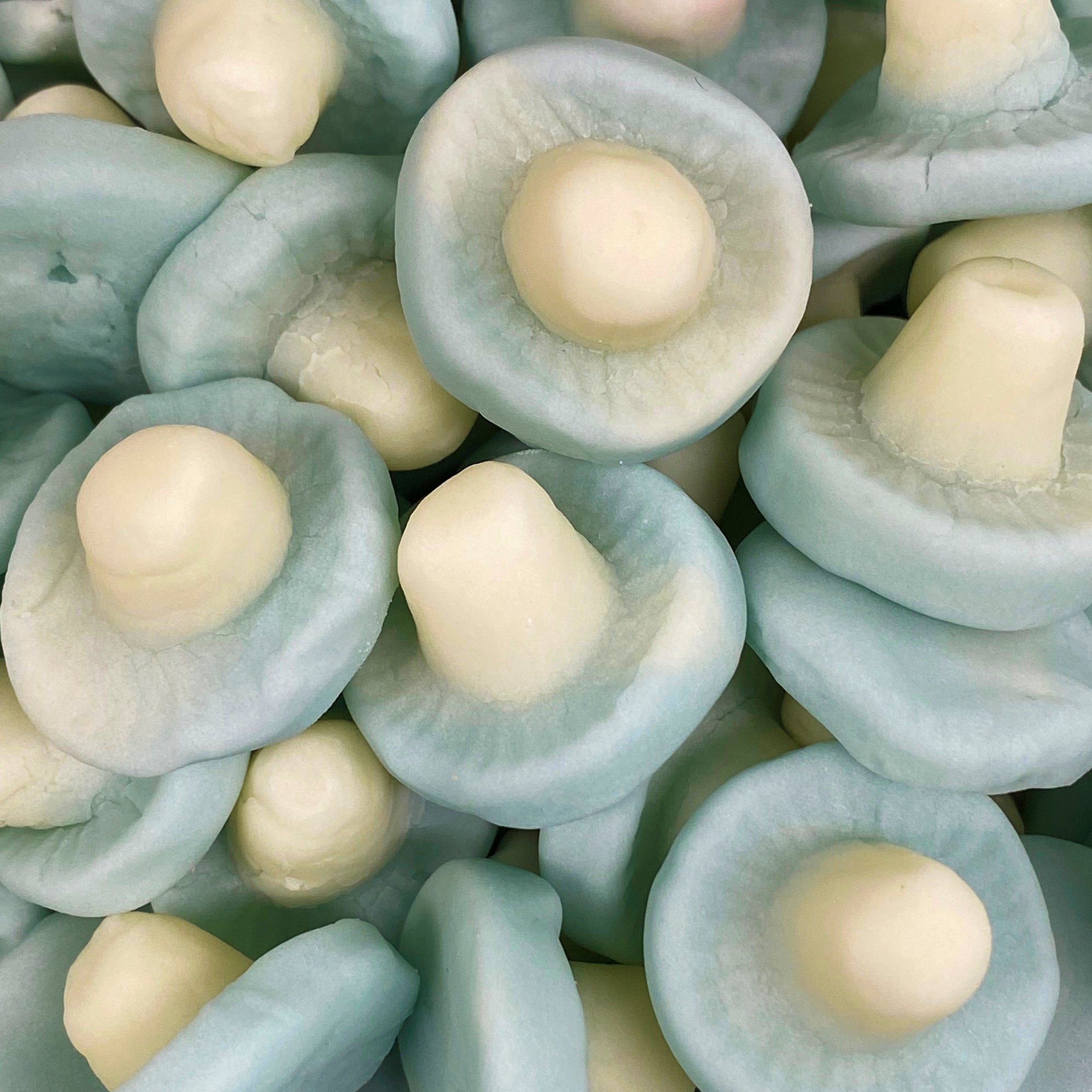 Foam Sweets — The Sweet Store