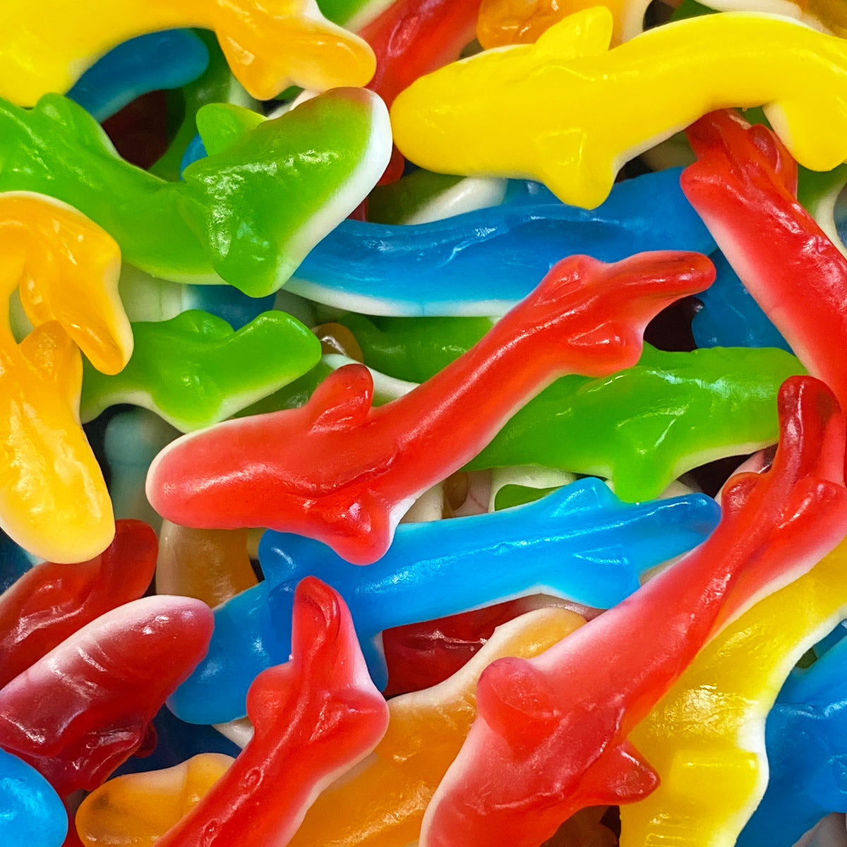 Kingsway Jelly Sharks — The Sweet Store